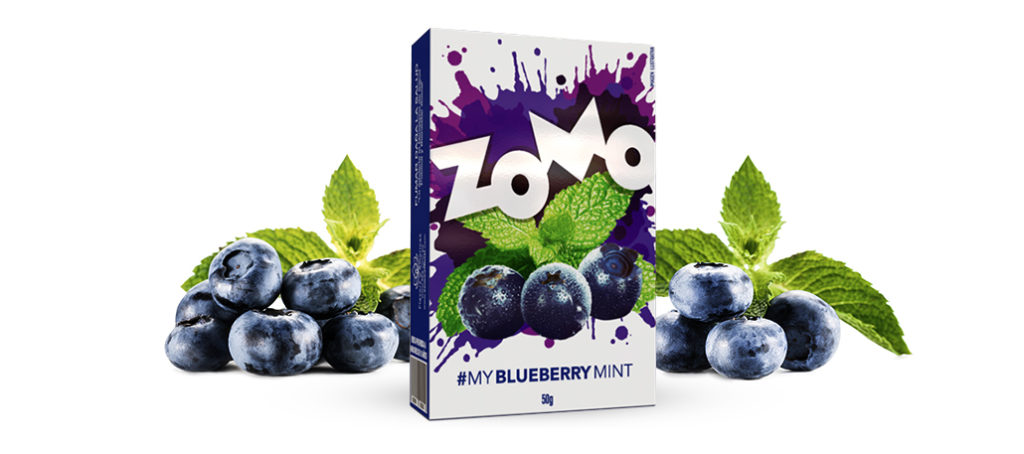 Top 10 Blueberry Shisha Flavors in August 2022 - Hookah-Central